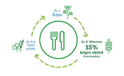 RME - förnybart bränsle | Lantmännen Maskin