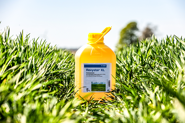 Martin har använt svampmedlet Revystar XL i fem år | Lantmännen ...