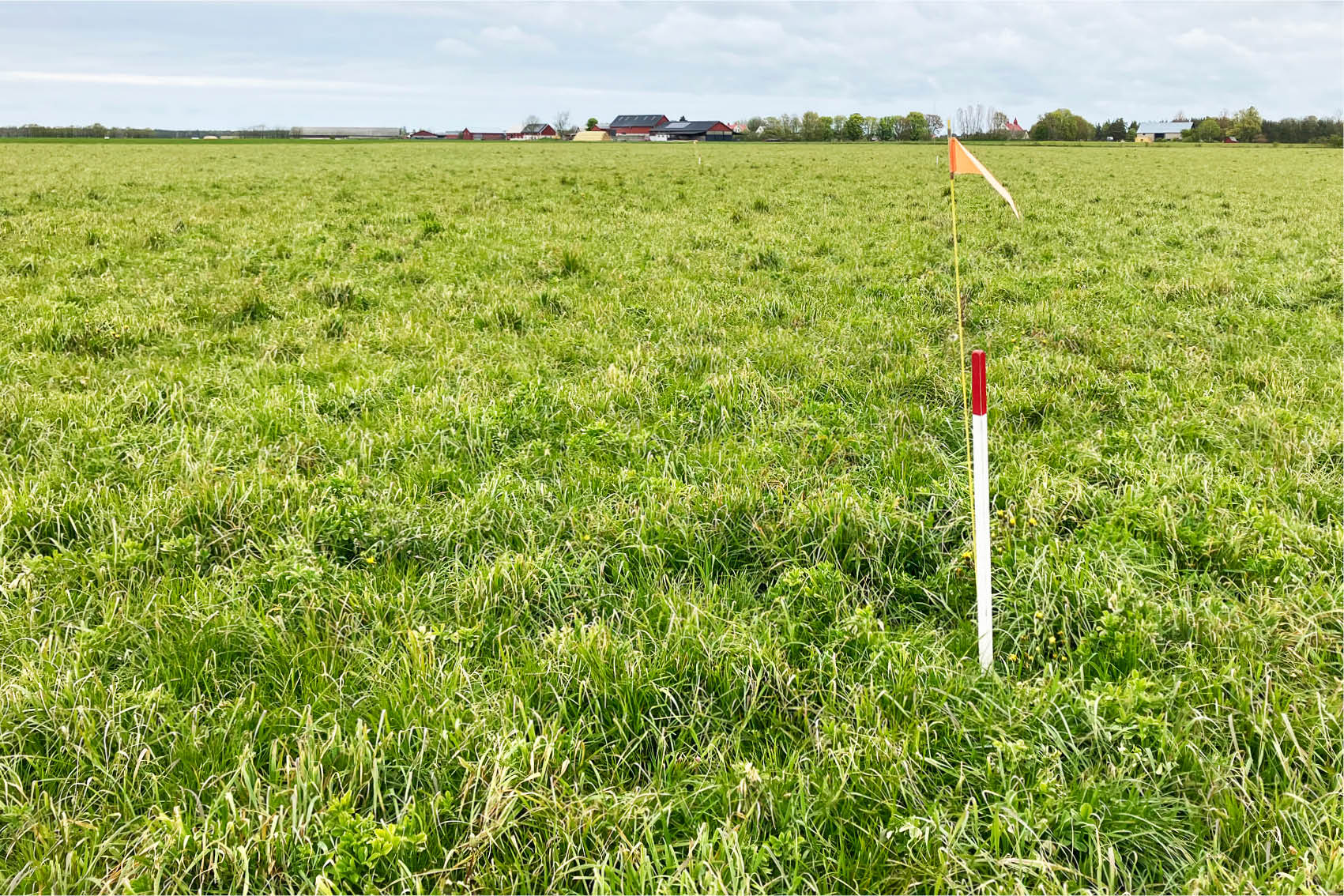 Kalium till vall 2025 | Lantmännen Lantbruk & Maskin